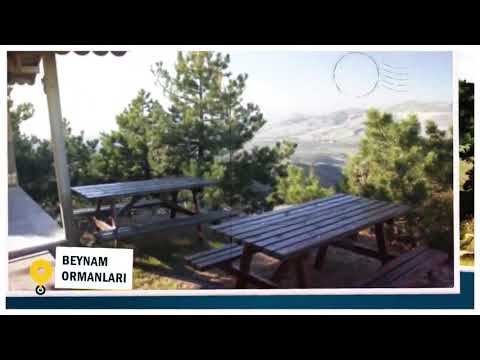 Beynam Atatürk Ormanı