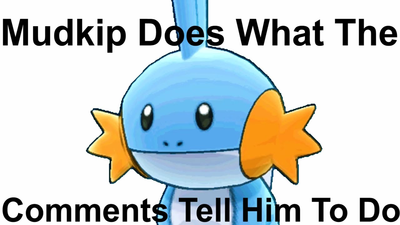 Mudkip Does What The Comments Tell Him To Do - YouTube