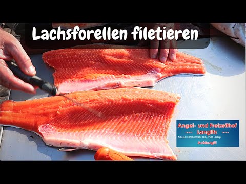 Forelle filetieren Lachsforelle Fisch filetieren Angelhof Langlitz ...