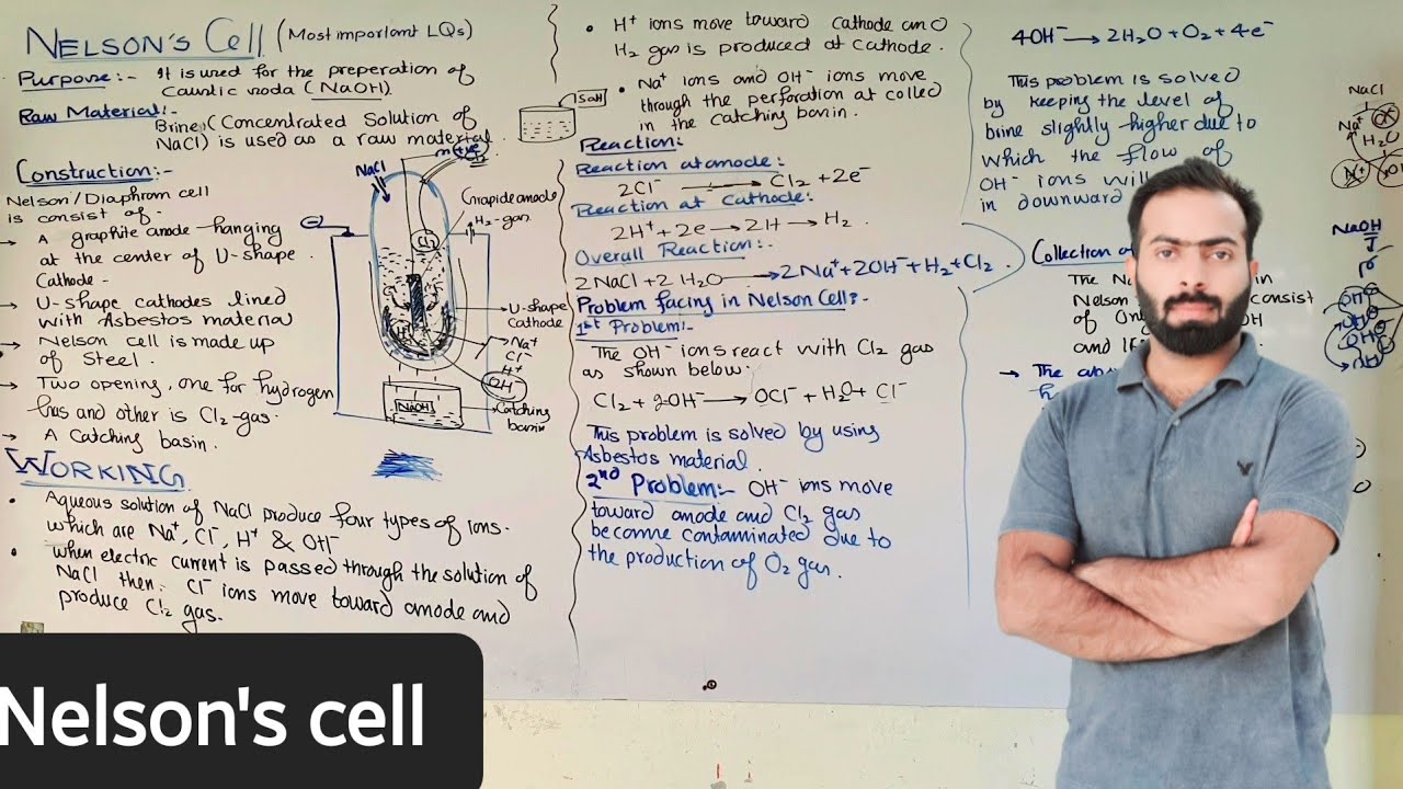 Nelson's cell OR Diaphragm cell | ch#2 | 12th class chemistry - YouTube