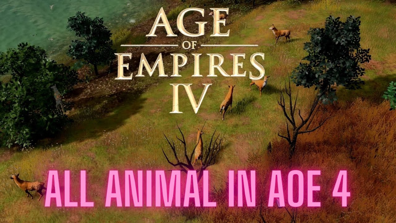 AGE OF EMPIRES 4 ALL ANIMAL AND ANIMATION - YouTube