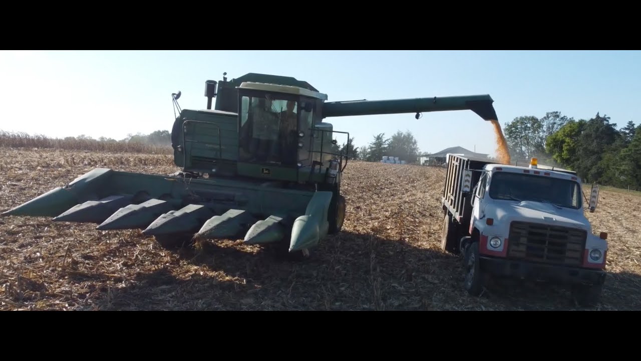 It Takes an Army! Routh Farms 2023 Corn Harvest (Part3)(9/28/23) - YouTube