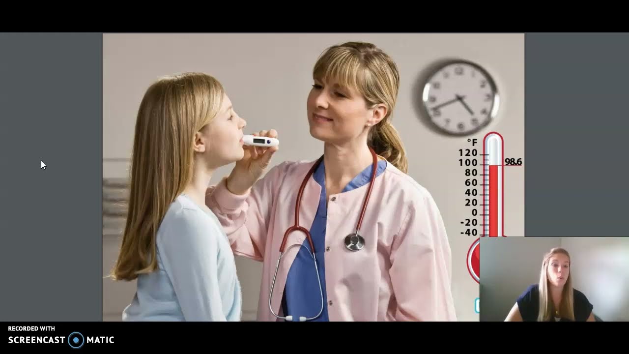 3rd Grade CKLA ELA - Unit 2 Lesson 4 Animal Classification: Warm-or ...