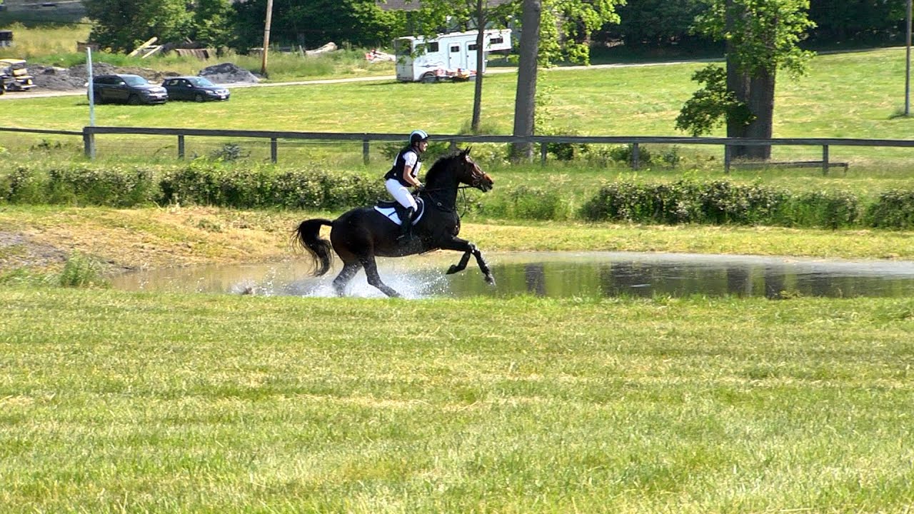 Kelly Beaver "Excel Star Pluto" MCTA @ Shawan Downs Horse Trials (T) 5 ...