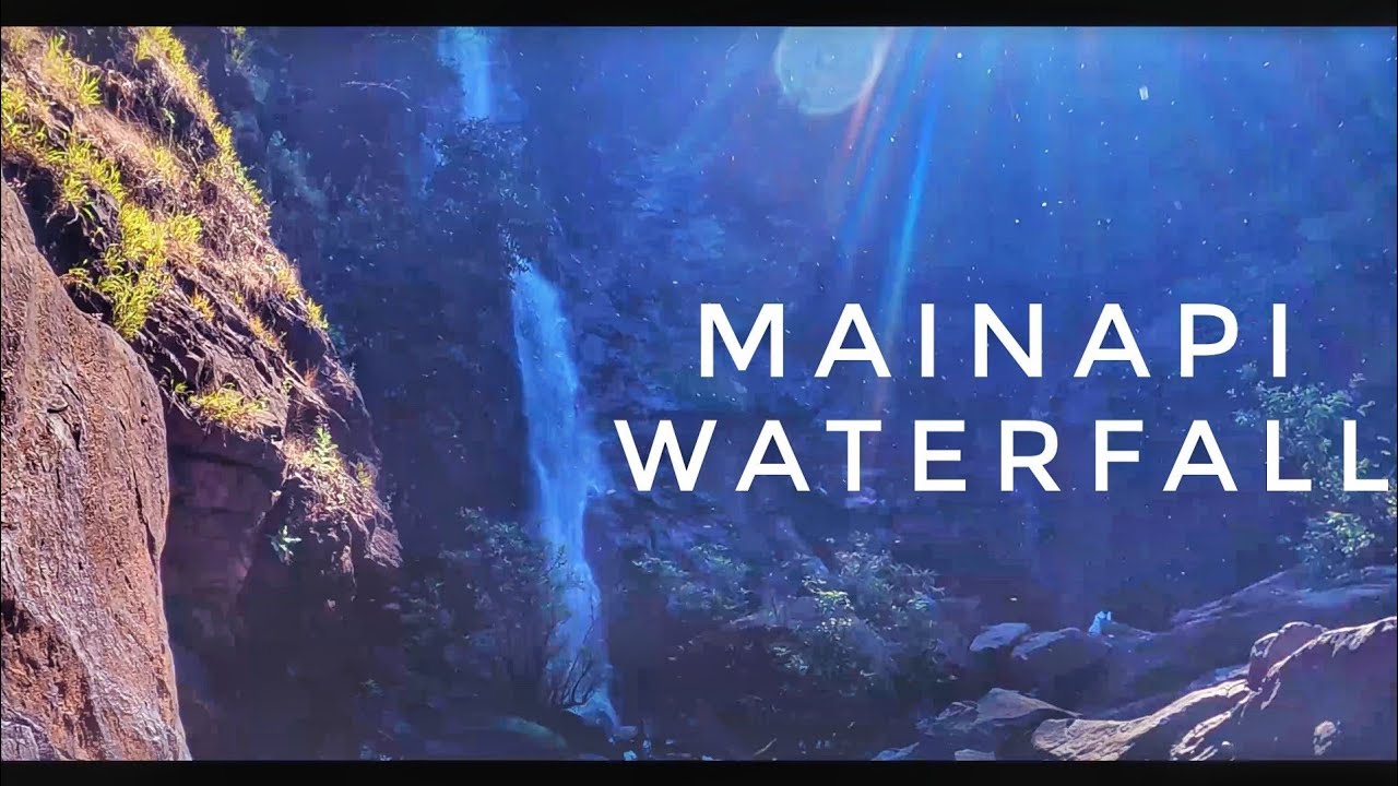 Mainapi Waterfall | Netravali Sanguem | Netravali wildlife sanctuary ...