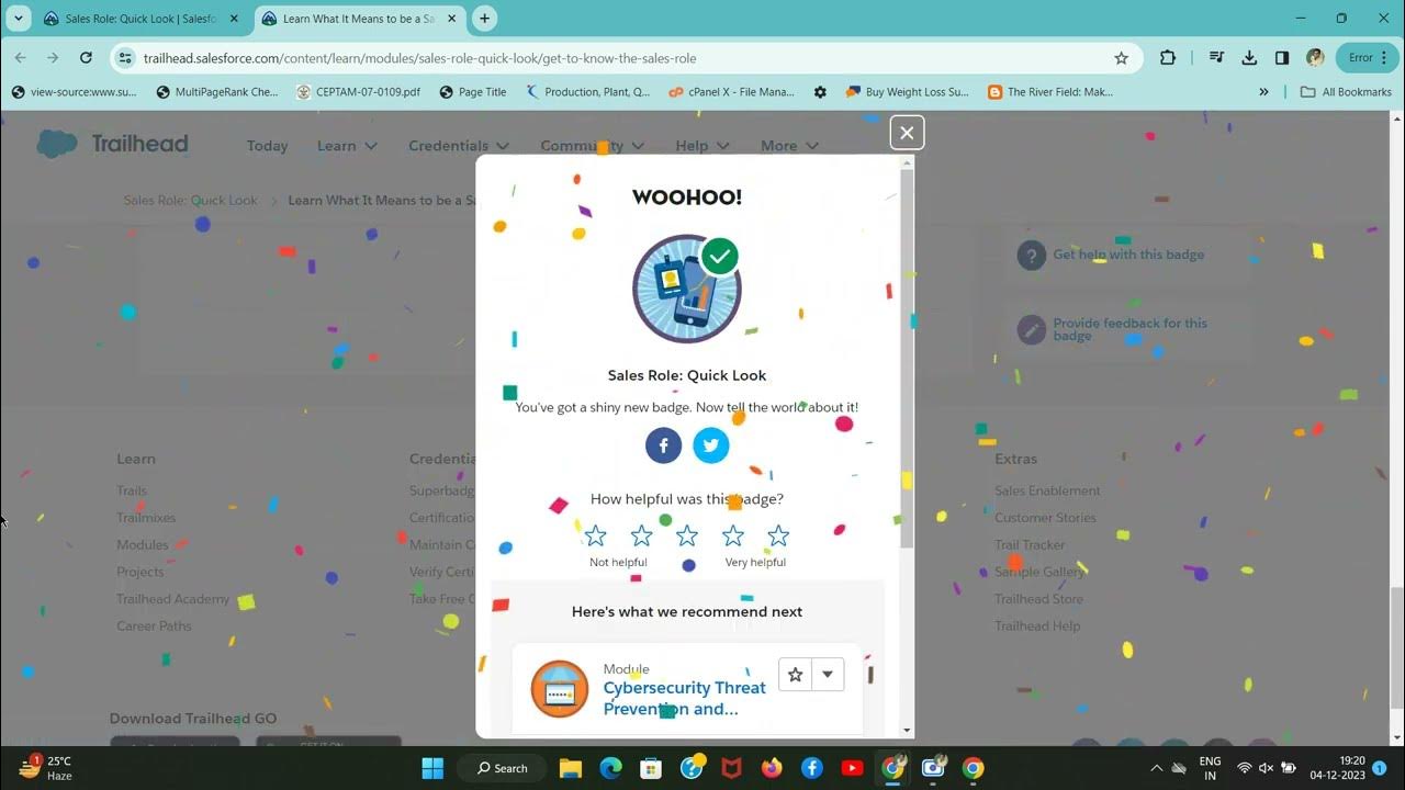 Sales Role Quick Look Salesforce Trailhead Youtube