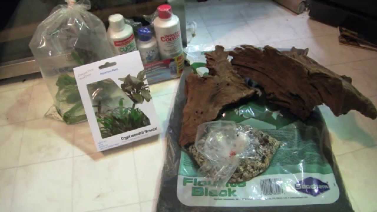 HOW TO SETUP A FLUVAL EDGE! - YouTube