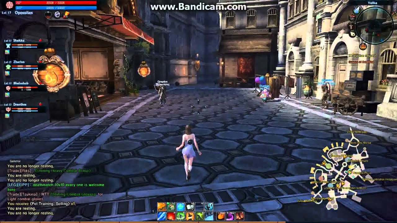 TERA Europe test - Velika city & Pet shop - YouTube