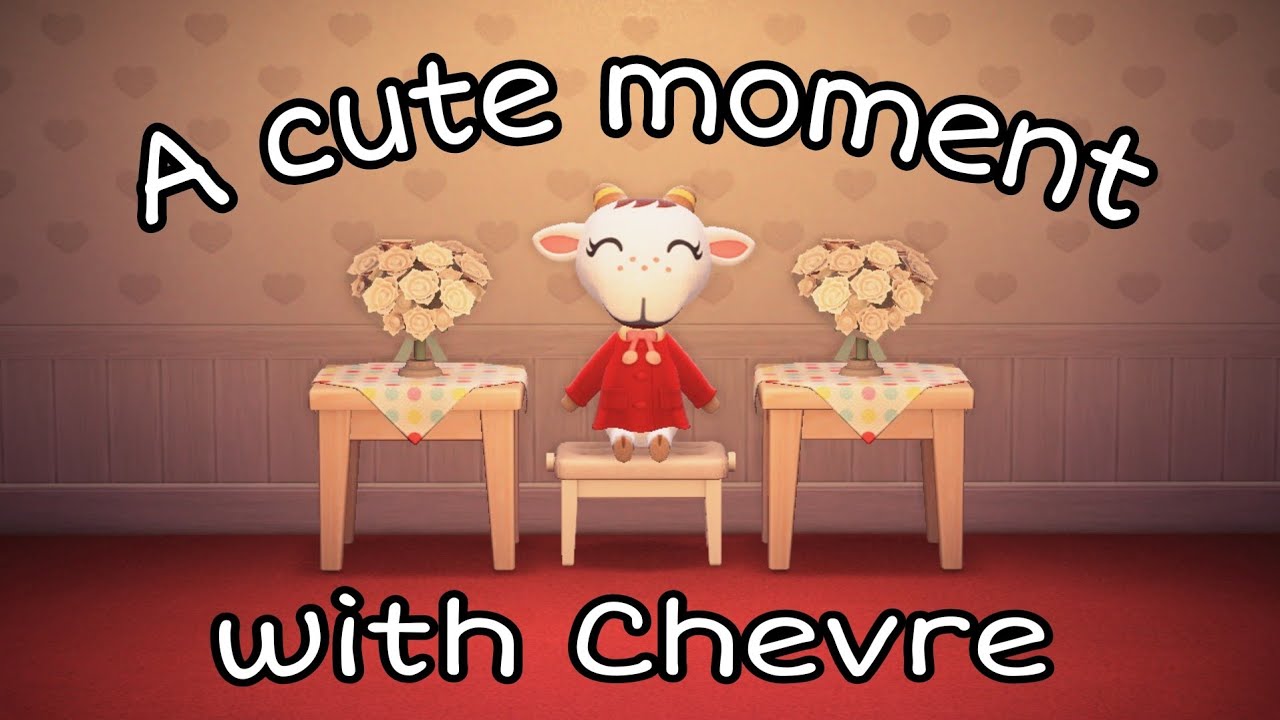 Chevre is one of the sweetest 😊 - ACNH - YouTube