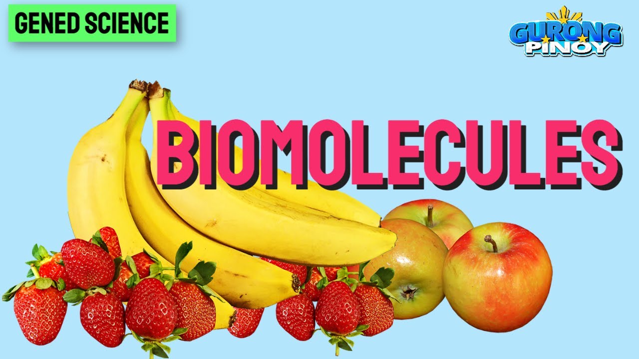 Biomolecules I General Education Science I 4 Different Types of ...