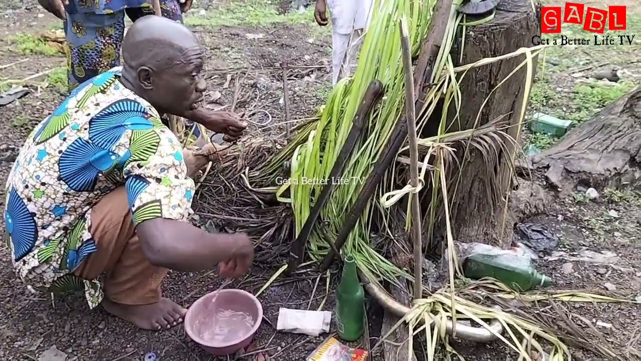 Orisha Ogun Appeasement for the last day of Ifa Initiation as Ikin Ifa ...