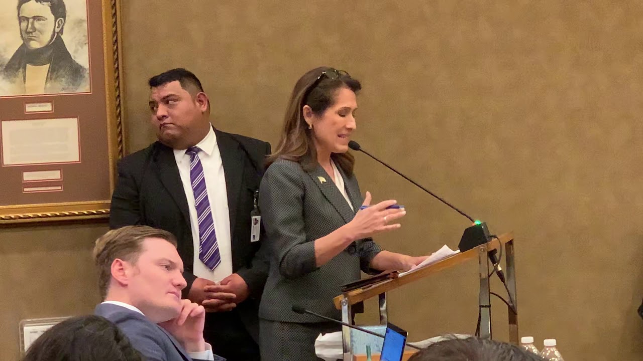 Maria Espinoza Testimony 2-25-2020 Comm Court illegal alien slush fund ...