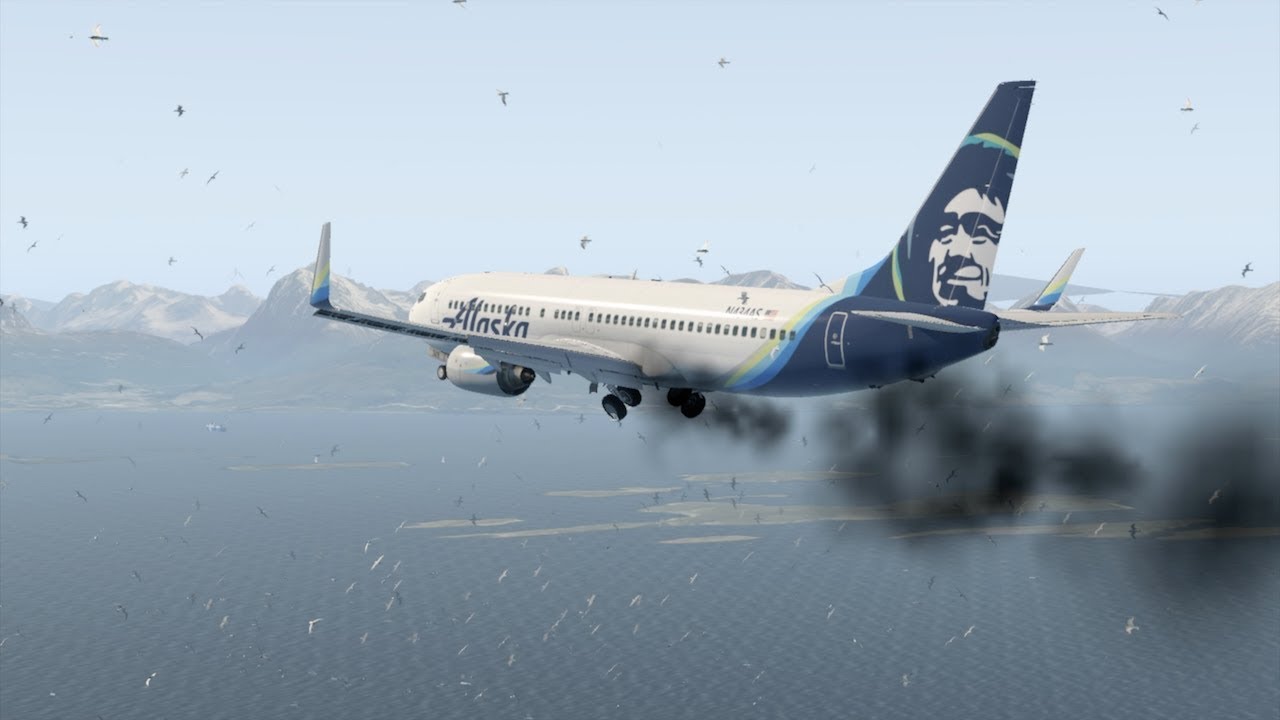 Birdstrike On Final Approach Emergency Challenge - YouTube