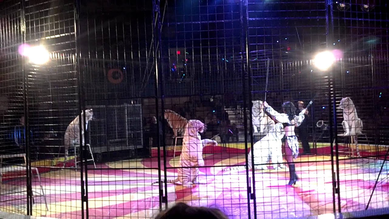 shrine circus 2012 - YouTube