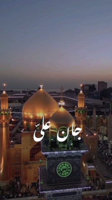 Dil Ali rehbar ali 😍 | Jan ali 😍 #viralvideo #molaali - YouTube