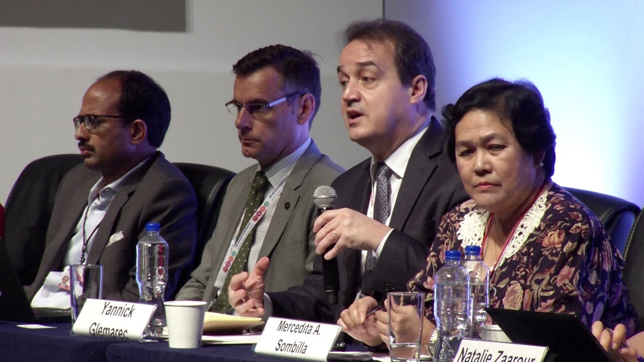 Sendai Framework Monitor Prototype Consultation - YouTube