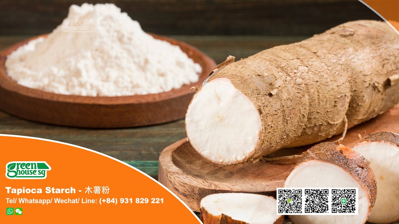 Amazing Agriculture Technology: Cassava Cultivation - Cassava Harvest ...