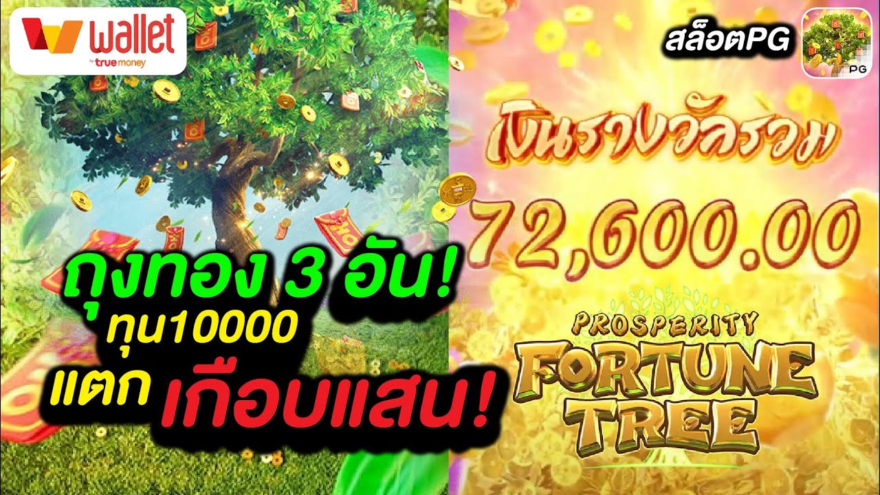 สล็อตpg : Prosperity Fortune Tree PG - ทุน10000 ฟรีเบ็ด300 ถุงทอง3อัน ...