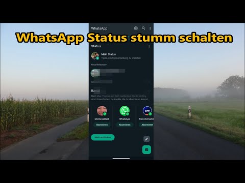 WhatsApp Status stumm schalten - So geht´s WhatsApp Tutorial