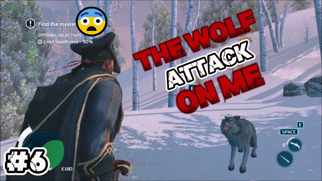 The Wolf Attack on Me Can i fight with wolf ?| Assassin Creed | Part 6 ...