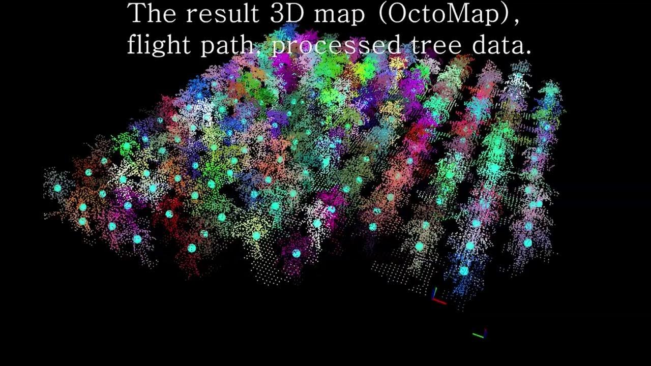 Palm Tree Field Exploration and Tree Identification with UAV - YouTube