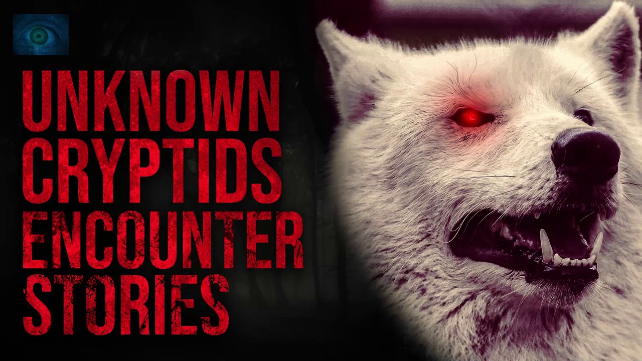 HORROR STORIES OF SCARY STORIES WITH CREATURES AND CRYPTIDS 2021 - YouTube