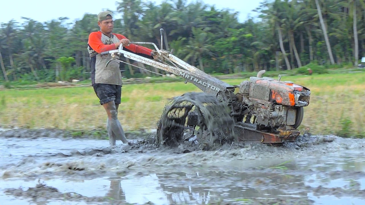 Proses Cepat Meratakan Menggaru Lahan Padi Pakai Traktor Quick G3000 ...