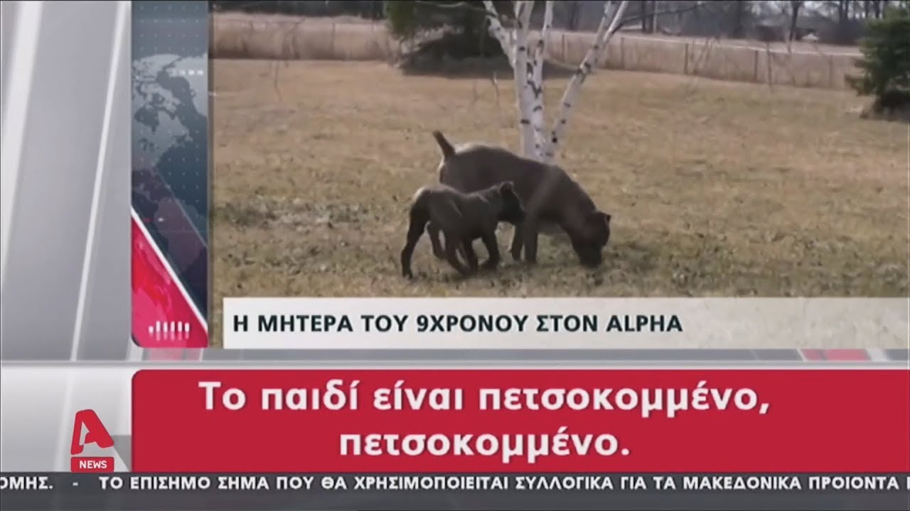ΕΠΙΘΕΣΗ ΣΚΥΛΩΝ ΣΕ ΠΑΙΔΙ | makeleio.gr - YouTube