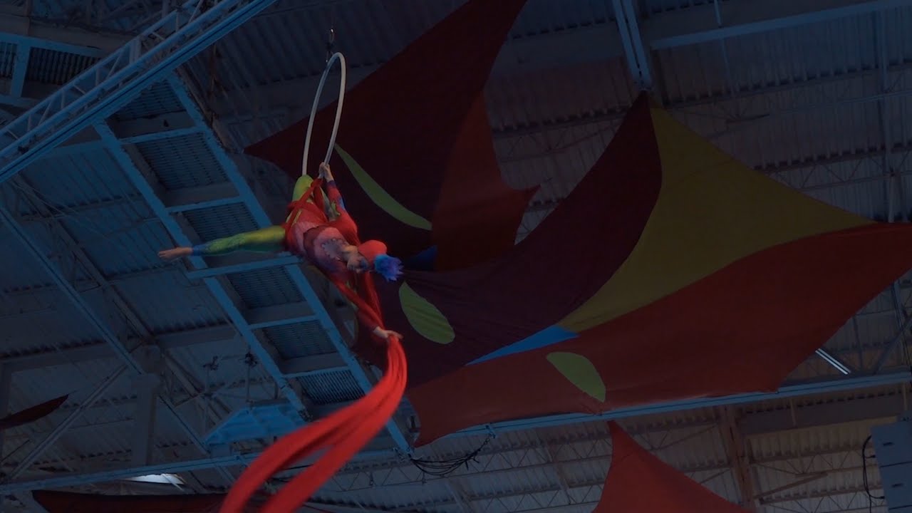 Azul Full Show 2015, SeaWorld San Antonio - YouTube