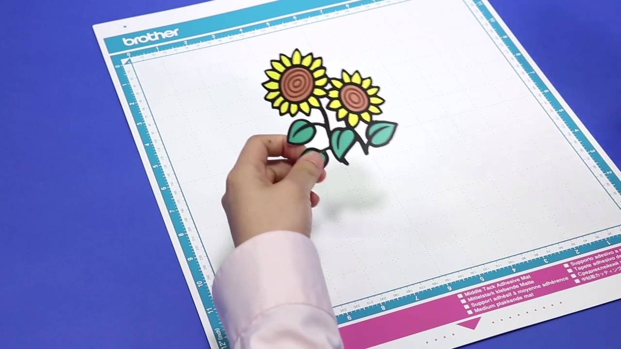 ScanNCut CanvasWorkspace: Direct Cut with CanvasWorkspace (Long Version ...