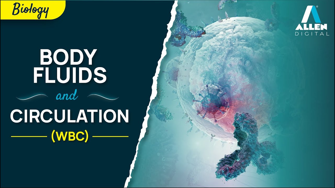Body Fluids and Circulation | WBC | NEET | Biology | Recorded Course ...
