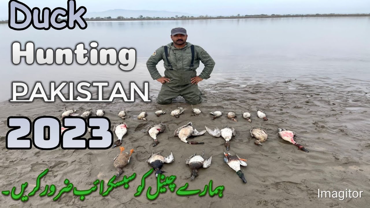 DUCK HUNTING IN PAKISTAN ,jahangir hunting club mansoor saeed butt and ...