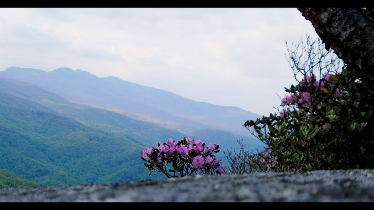 Hiking Little Lost Cove Cliffs and Hawksbill Mountain - Music by the ...