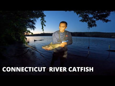 Fishing for Connecticut River Catfish - YouTube