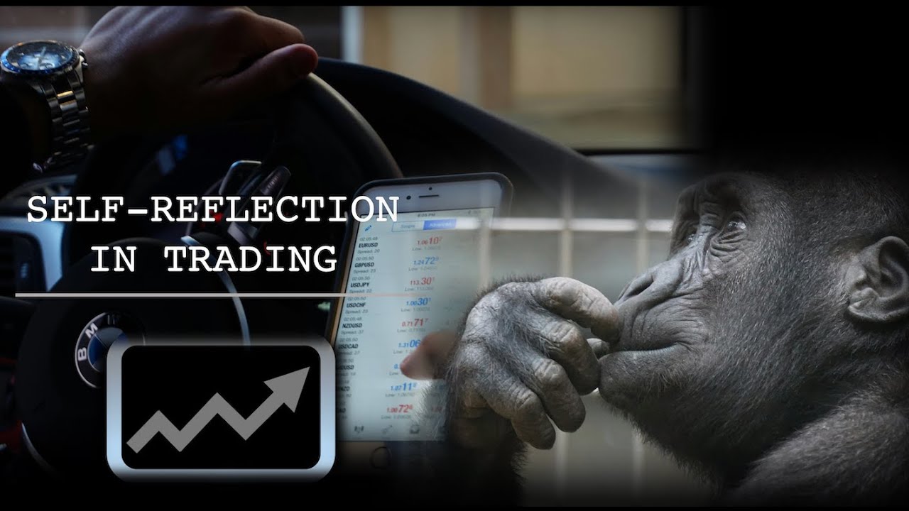 Trading Psychology Part 7: Self-Reflection. The Key To Successful ...