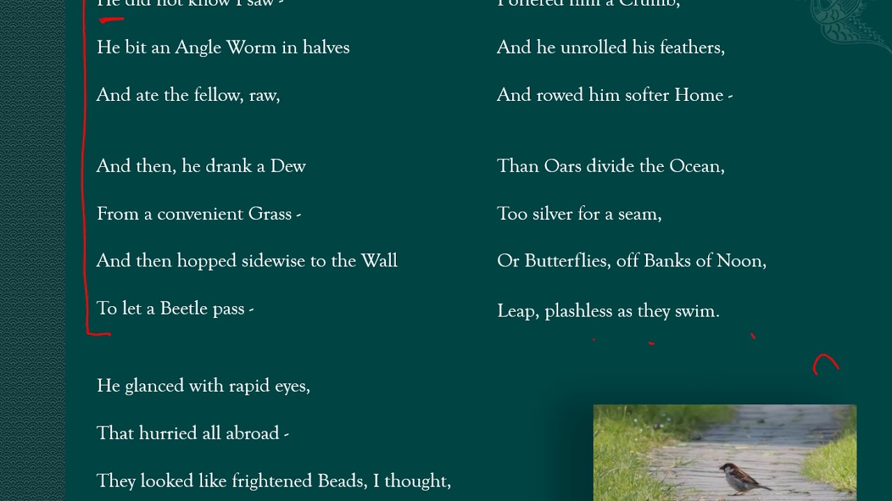 Selective Exam Poem Lesson: A Bird, came down the Walk- - YouTube