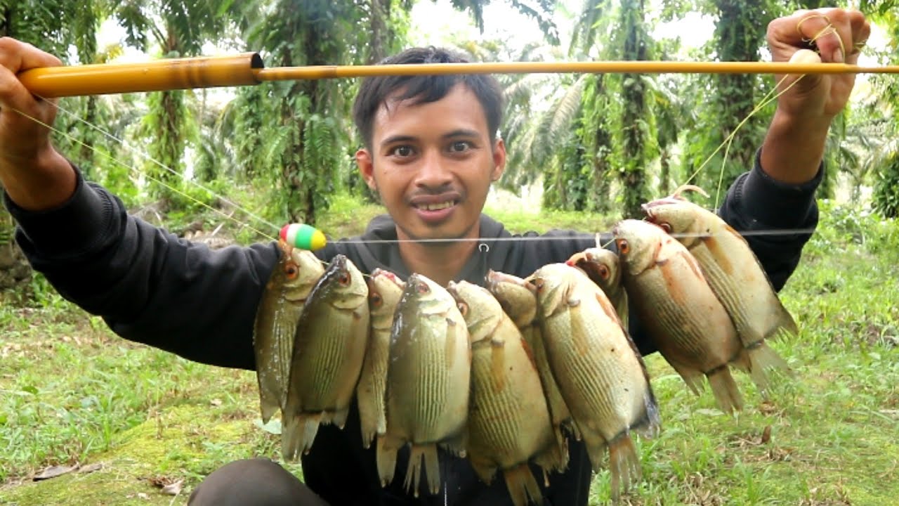 VIRAL !! TERNYATA SANGAT MUDAH MANCING IKAN BIAWAN DENGAN TEHNIK ...