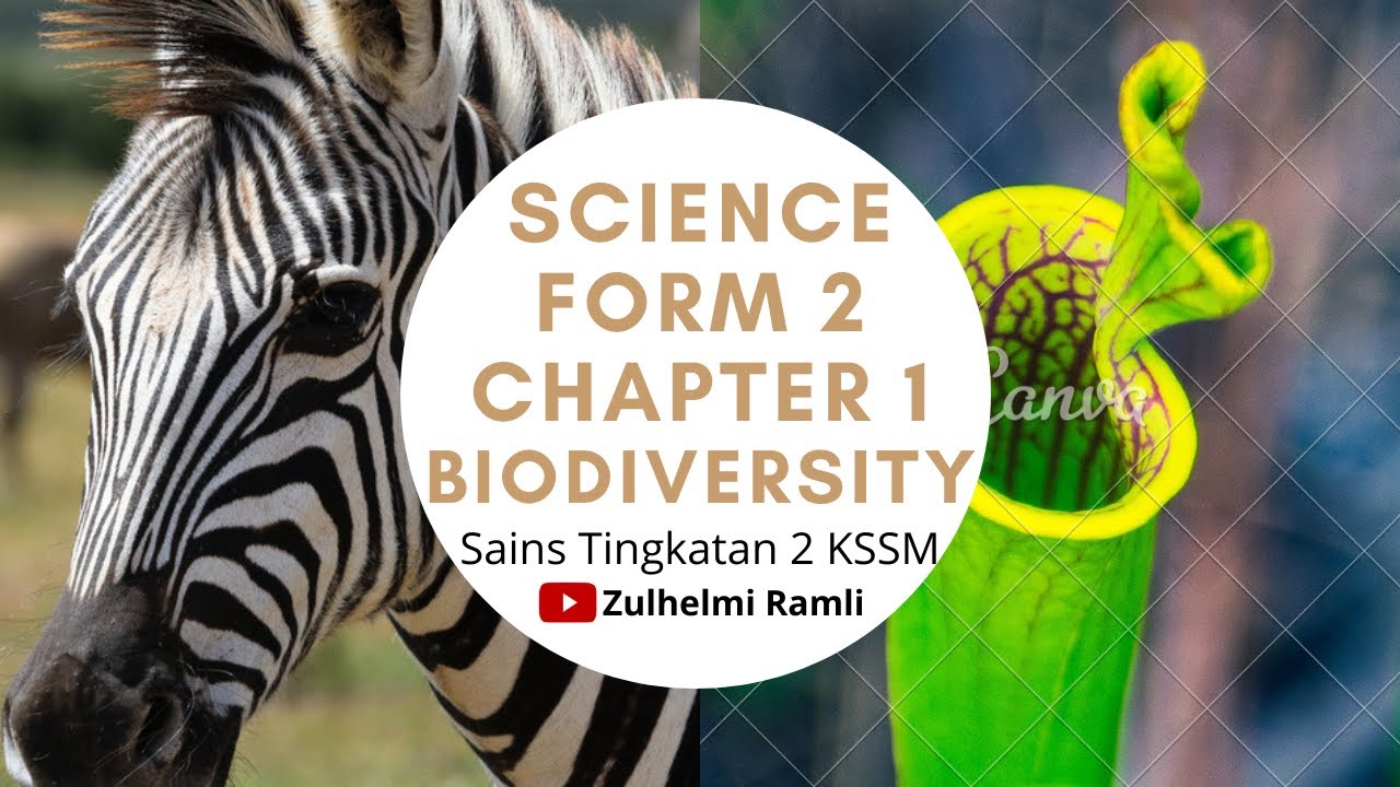 CHAPTER 1 | BIODIVERSITY🐘🌲🦐 | SCIENCE FORM 2 KSSM | *abaikan tajuk di ...