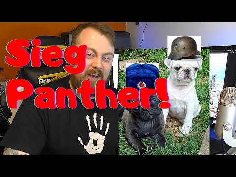 Count Dankula Supports Equal Time for Pug Extremists - YouTube