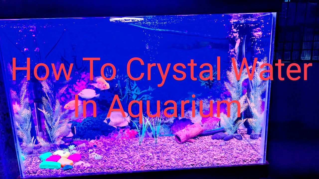 How To Crystal Water In Aquariums. - YouTube