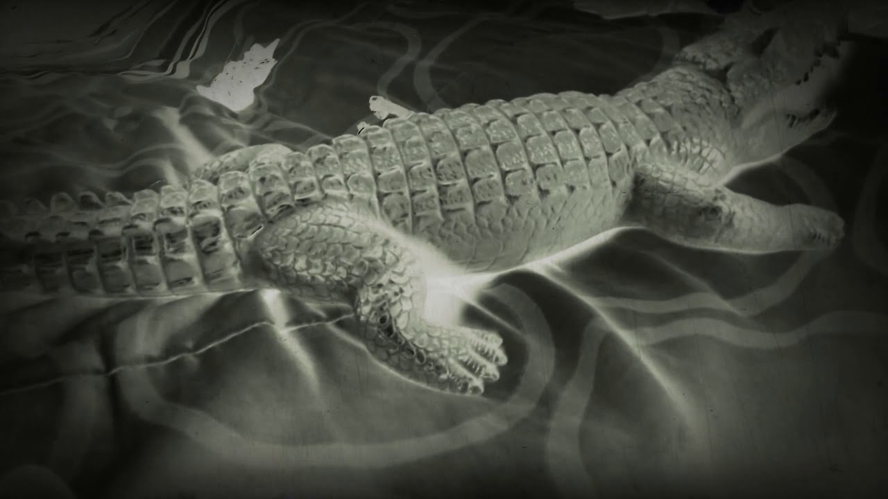 MEGA SHARK VS CROCO SAURUS VS ANACONDA - YouTube