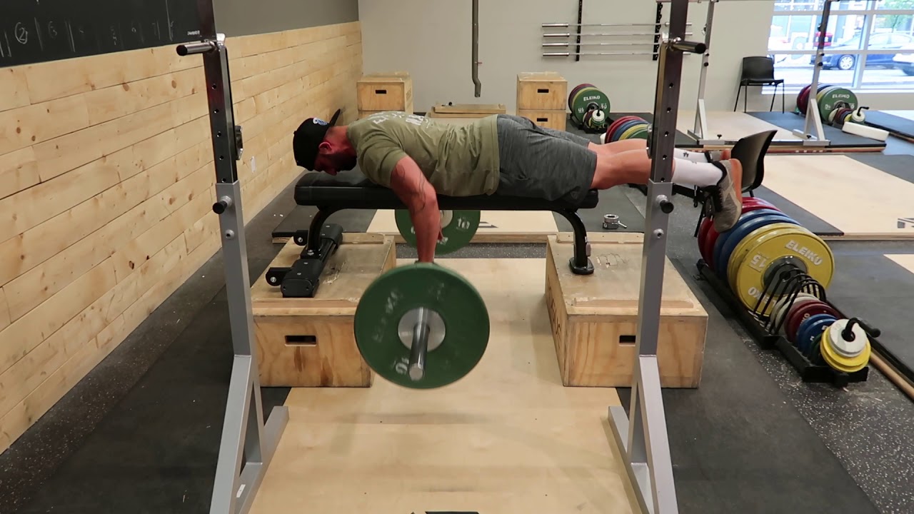 Barbell Seal Row - YouTube