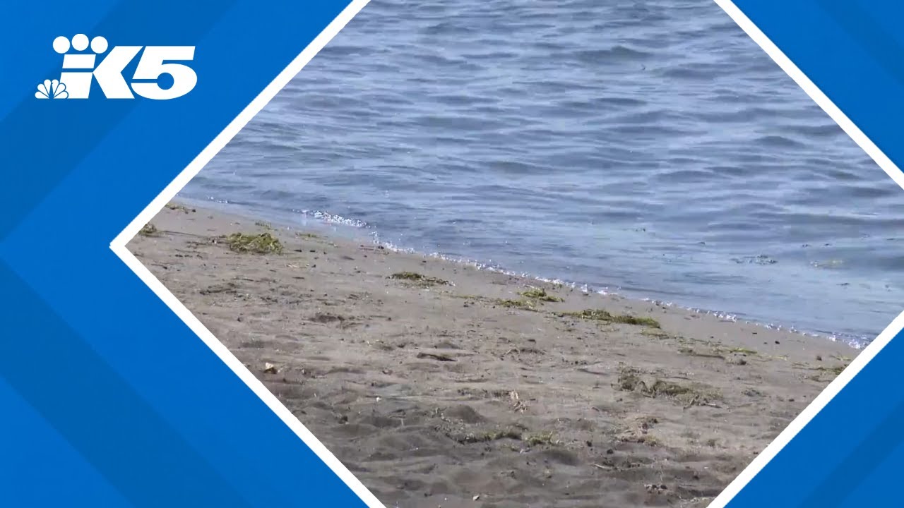 Divers find body of man who disappeared in the Columbia River - YouTube