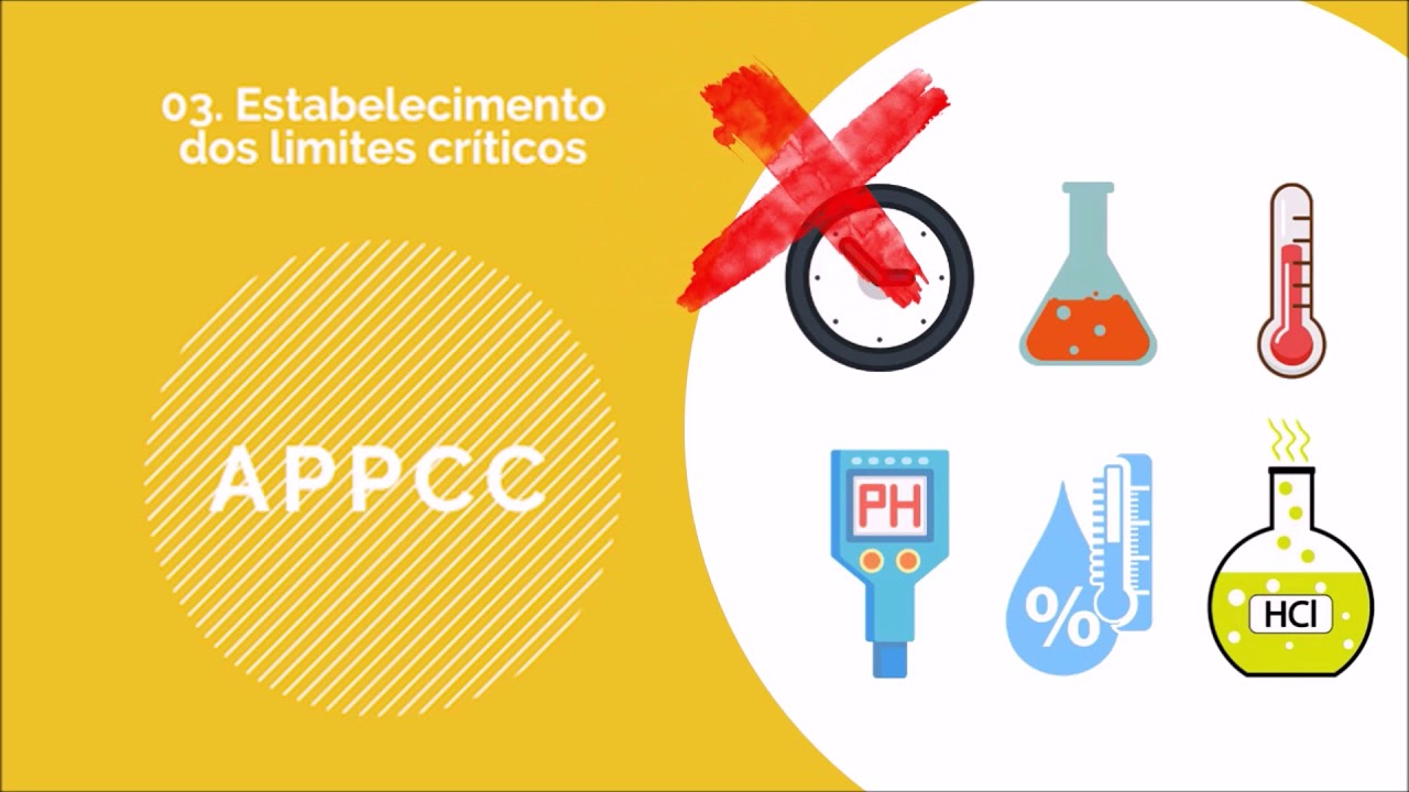 Sistema APPCC - Análise de Perigos e Pontos Críticos de Controle - YouTube