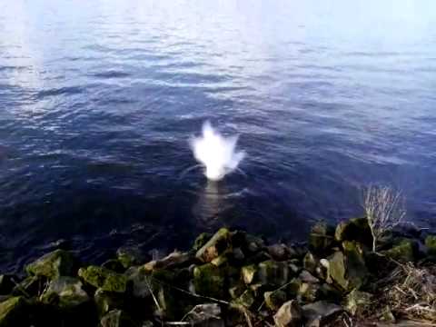 strange sound after banger explosion - YouTube