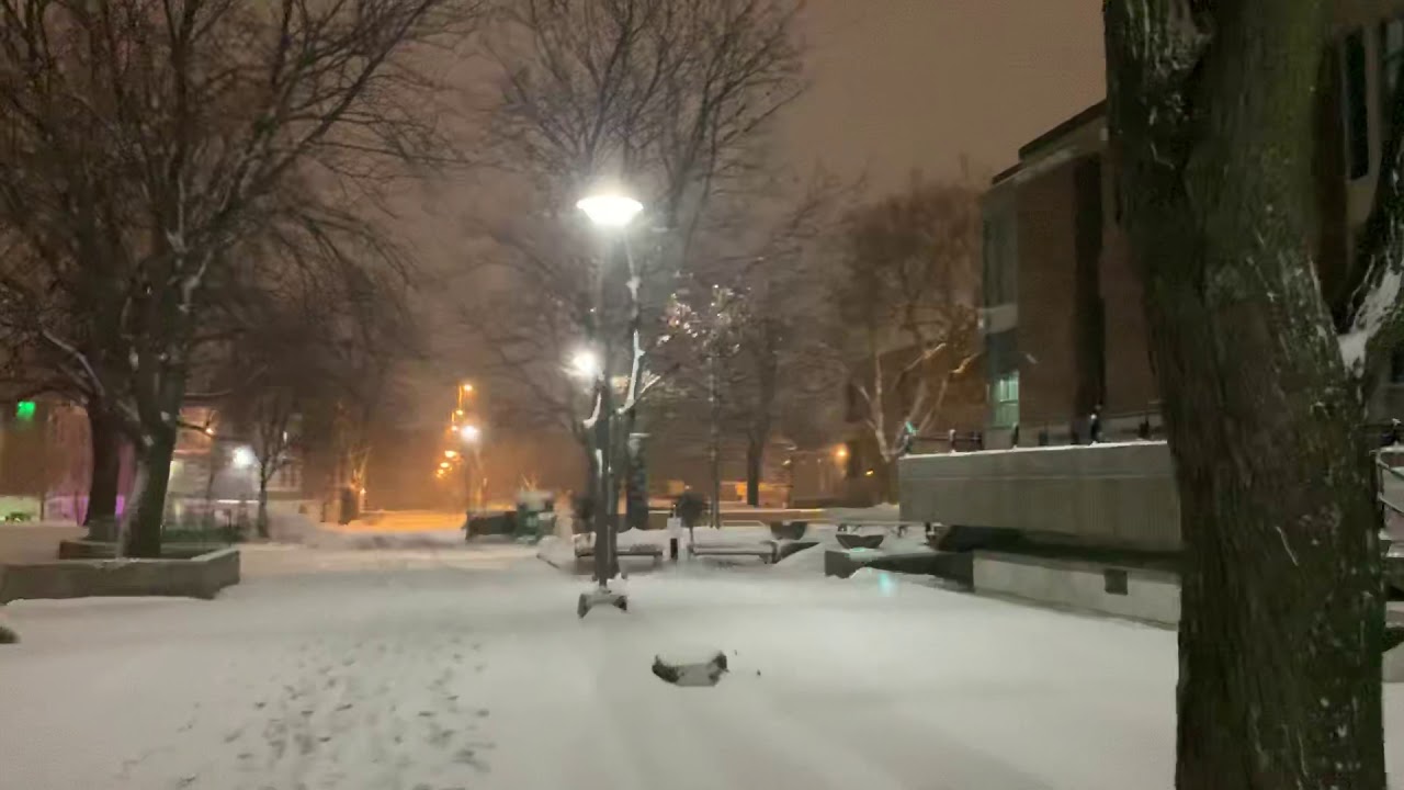 Chilling winter of Canada - YouTube