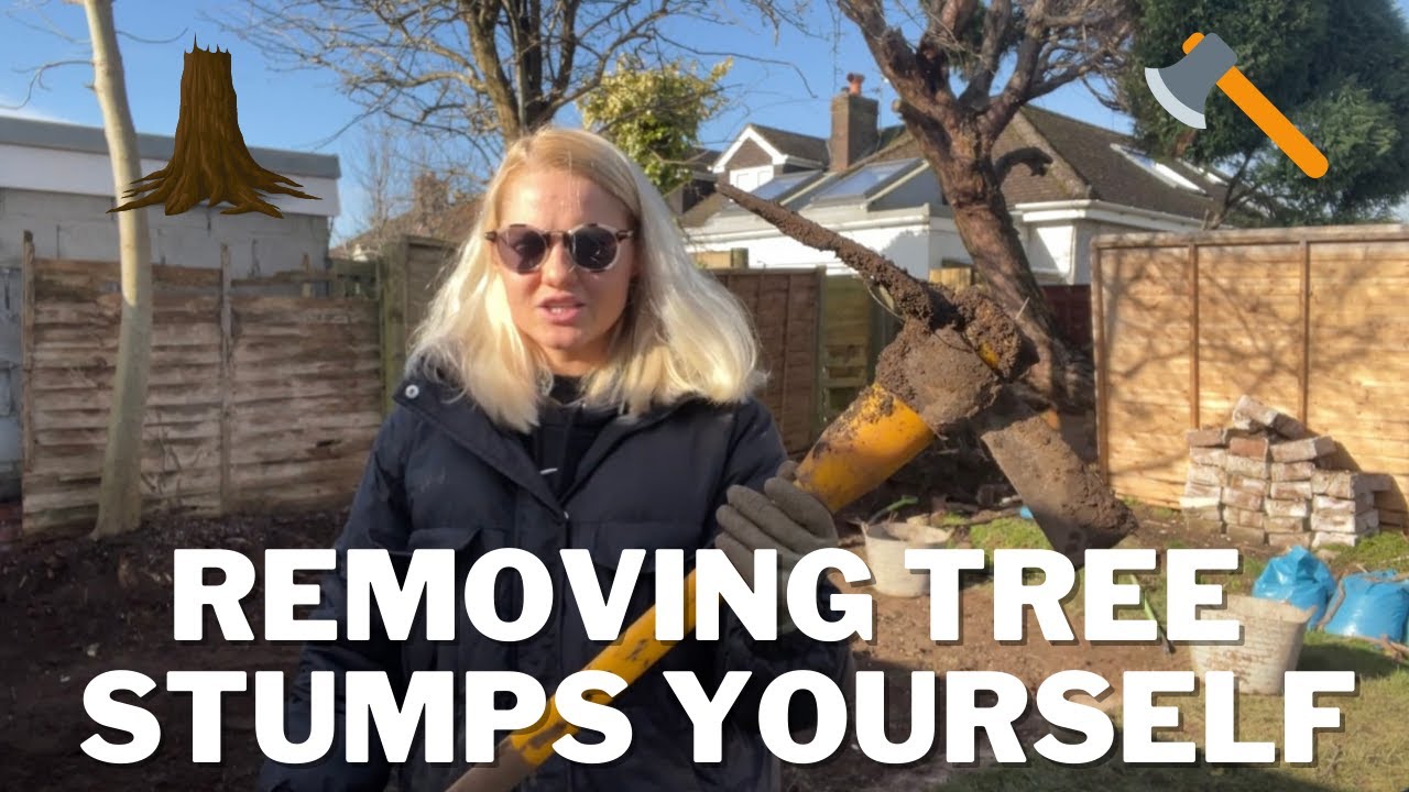 How to remove tree stump and roots yourself - YouTube