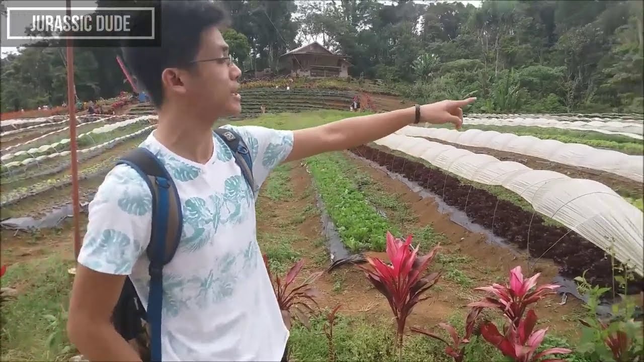 SEAGULL MOUNTAIN RESORT @ Buda Davao City - YouTube