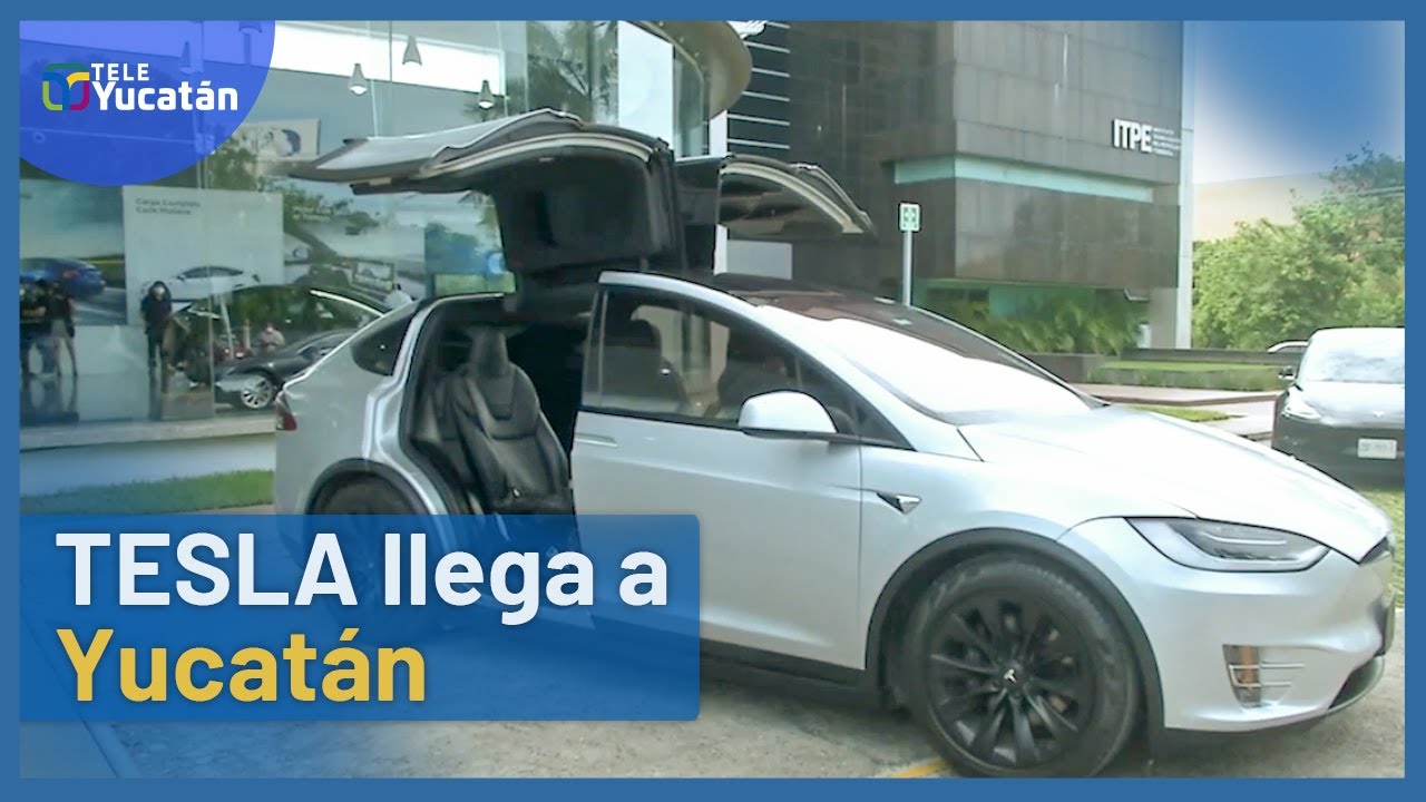 TESLA finalmente llega a Yucatán | ASÍ ES LA AGENCIA🚗 | TELE Yucatán ...