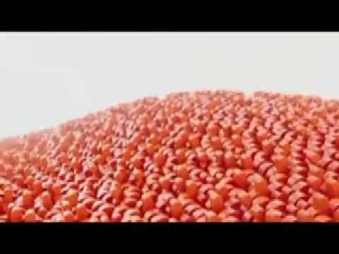 Nickelodeon HD Idents (Sounds) - YouTube